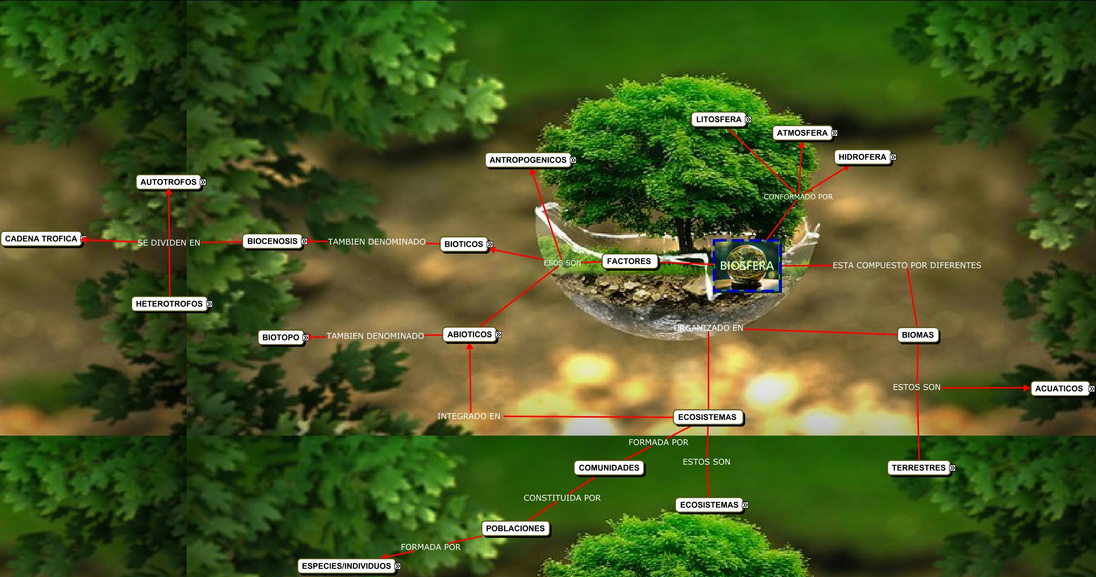 MAPA DE ECOLOGIA CMAP 4.0.cmap.cmap